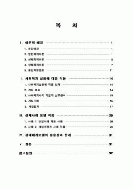 생태체계모델(이론,실천,실제사례적용)레포트 -1페이지