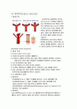 (간호학) 뇌동맥류환자 간호 aneurysm-1페이지