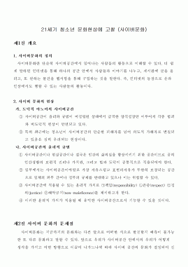 21세기 청소년 문화현상에 고찰 (사이버문화)-1페이지