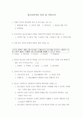 청소년복지론 중간 및 기말고사 -1페이지