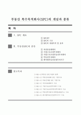 부동산 특수목적회사(Special Purpose Company)의 이해와 종류-1페이지