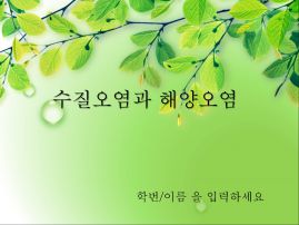 [A+ 완성]ppt 발표본 (수질오염과 해양오염에 대해서 )-환경오염원인--1페이지