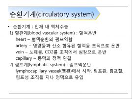 순환기계 (circulatory system)-1페이지