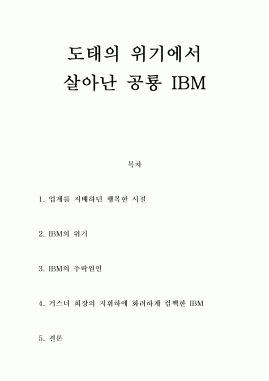 마케팅관리-도태의 위기에서 살아난 공룡 IBM-1페이지