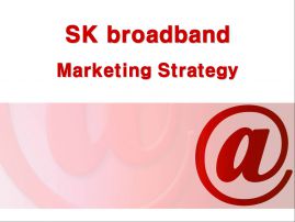 SK브로드밴드의 마케팅 전략과 방안-1페이지