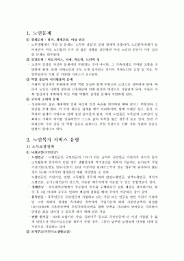 노인복지 및 문제-1페이지