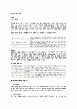 배드민턴 기술과 클럽 참관 레포트-1페이지