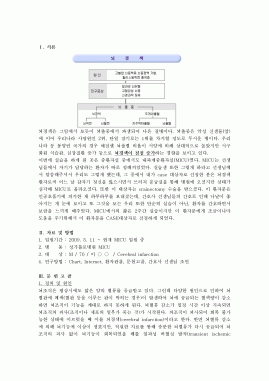 뇌경색 case study [논문]-1페이지