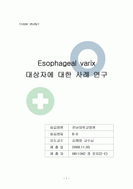 식도 정맥류 case(Esophageal varix )-1페이지