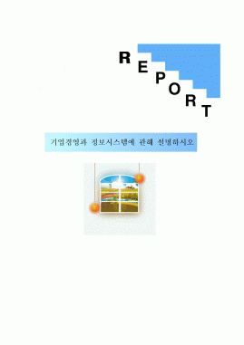 [인문과학] 기업경영과 정보시스템 -1페이지