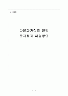 [다문화가정] 다문화가정의 원인, 문제점과 해결방안 (다문화가정의 문제점과 대책)-1페이지