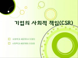 기업의 사회적 책임, CSR, 윤리경영, 기업윤리-1페이지