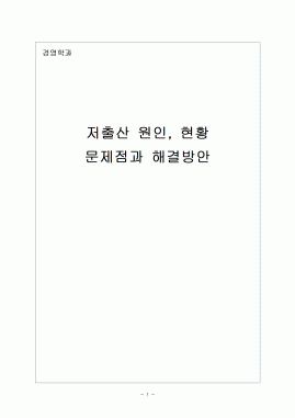 [저출산]저출산 원인, 현황 문제점과 해결방안-1페이지