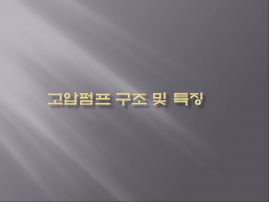 역삼투압(RO) 설비용 고압펌프 구조 및 특징-1페이지