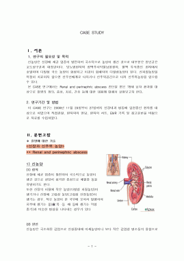 신농양 케이스 스터디 (renal abscess,신장내과)-1페이지