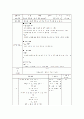 유아영재교육-도형(수학) 5개영역 계획안-1페이지