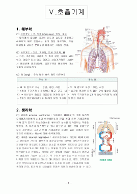 호흡기계 해부생리와 COPD 문헌고찰-1페이지