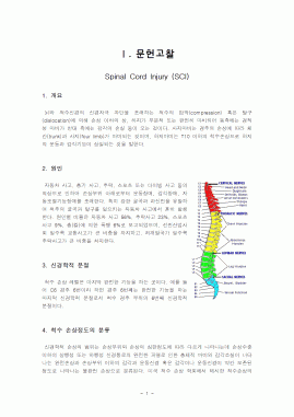 spinal cord injury(SCI, 척수손상) 문헌고찰-1페이지