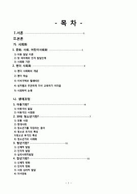 사회화, 생애과정, 고령화시대에 사회복지 대안 보고서-1페이지