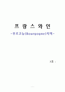 프랑스와인(부르고뉴지역)-1페이지