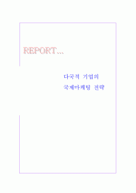 다국적기업의 국제마케팅 전략 보고서-1페이지