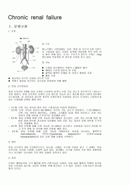   Chronic renal failure 케이스스터디 -1페이지