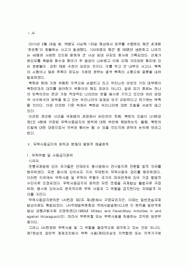 천안함사건의 국제법적 고찰-1페이지