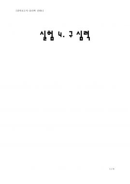 물리학실험-구심력-1페이지