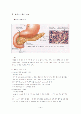 당뇨(Diabetes Mellitus) 컨퍼런스-1페이지