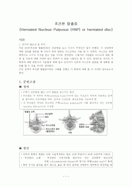 HNP(추간판 탈출증) case study -1페이지