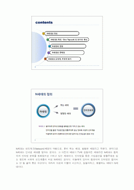 N(네트워크(Network)세대 대하여 -1페이지