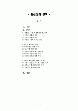 출산장려정책 가족정책-1페이지