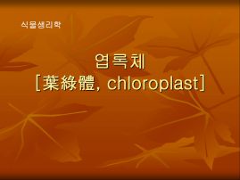 엽록체 [葉綠體, chloroplast] 의 구조와 기능-1페이지