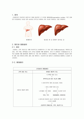 간경변문헌고찰 - 원인과 병태생리, 증상과 징후, 진단검사, 치료, 간호중재, 합병증-1페이지