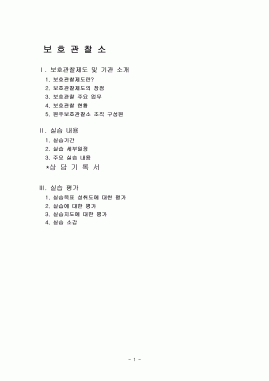 보호관찰소 실습보고서(기관소개, 실습내용,상담기록서,실습평가소감문 수록)-1페이지