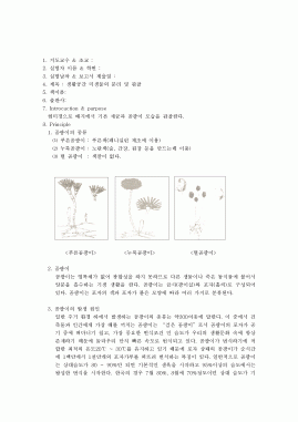 생활공간 미생물의 분리 및 관찰-1페이지