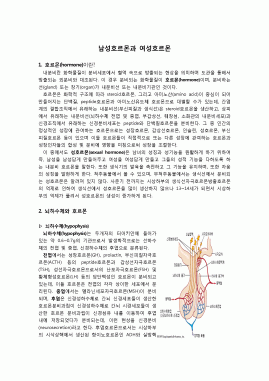 성의 생물학 리포트(레포트) - 성호르몬-1페이지