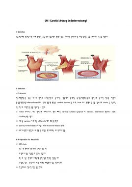 CAE (Carotid Artery Endarterectomy)-1페이지