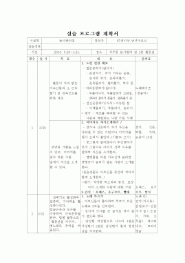 프로그램 계획서-1페이지