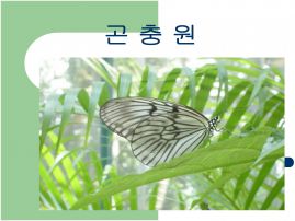 곤충원에 대하여-1페이지