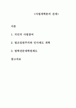   사법개혁론의 전개 -1페이지