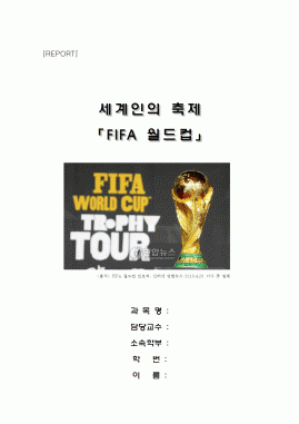 FIFA 월드컵-1페이지