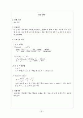 유량실험(결과)-1페이지