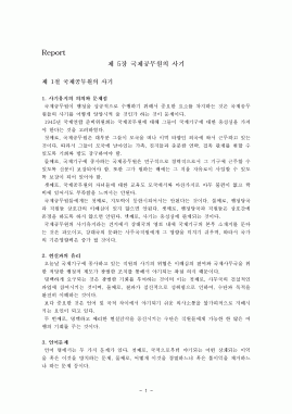 국제공무원의 사기-1페이지