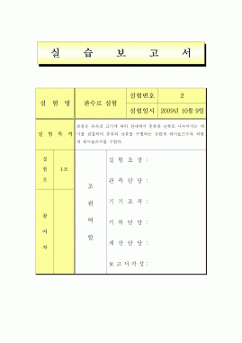 [손실수두]관수로 실험 보고서-1페이지