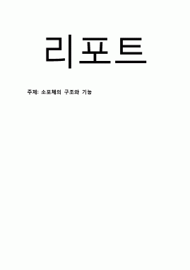 소포체의 구조와 기능-1페이지