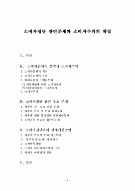 [사회과학] 소비자집단 관련문제와 소비자주의의 확립-1페이지