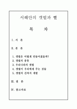 서해안의 갯벌과 뻘-1페이지