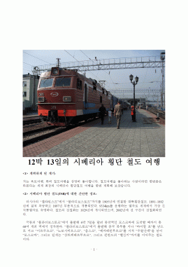 12박 13일의 시베리아 횡단 철도 여행계획서-1페이지