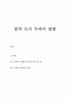 꿈의 도시 두바이 관광, 여행계획서-1페이지